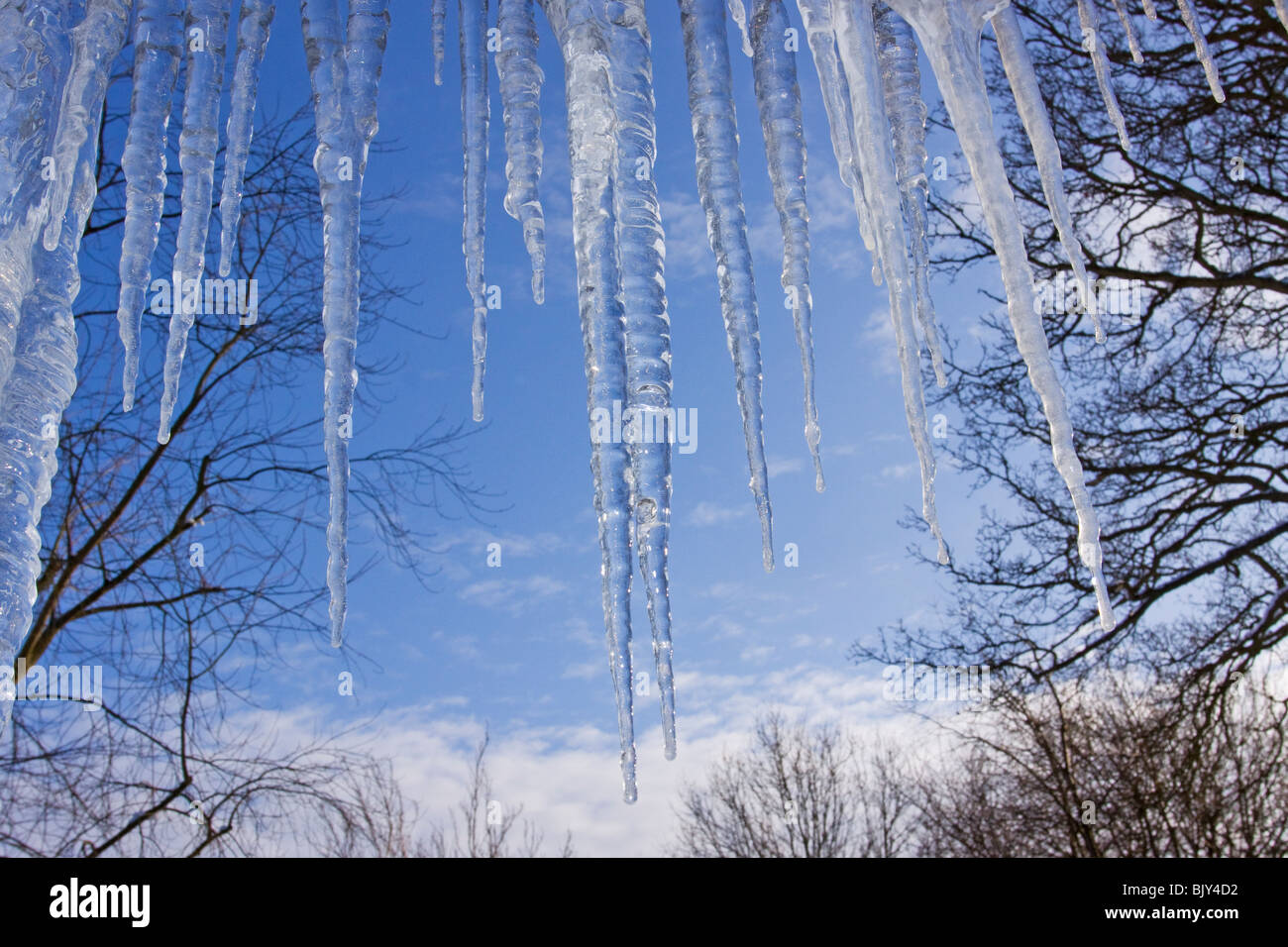 Freezing Icicles