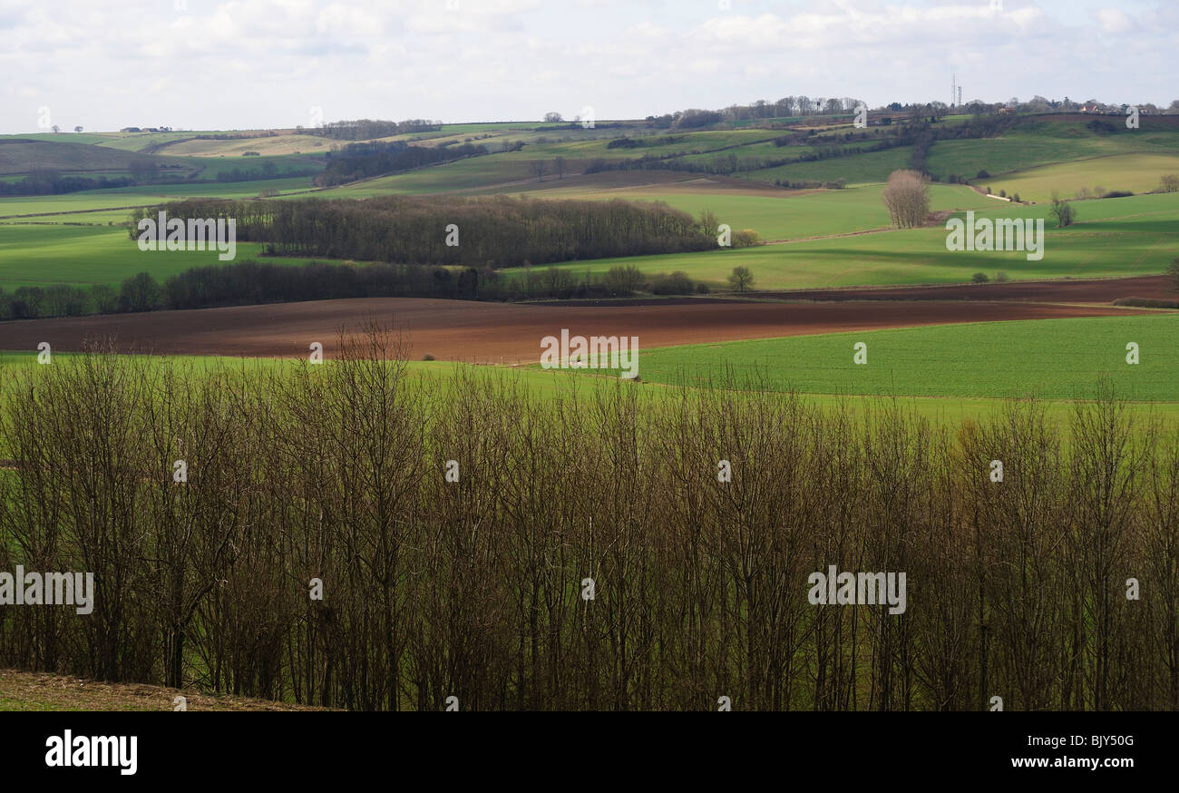 Spring in the Lincolnshire Wolds Stock Photo - Alamy