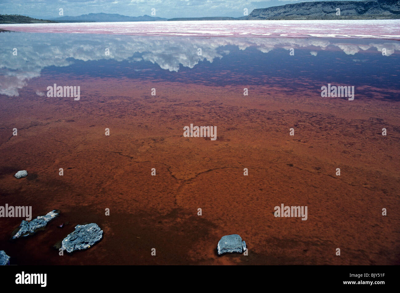 Lake magadi rift valley hi-res stock photography and images - Alamy