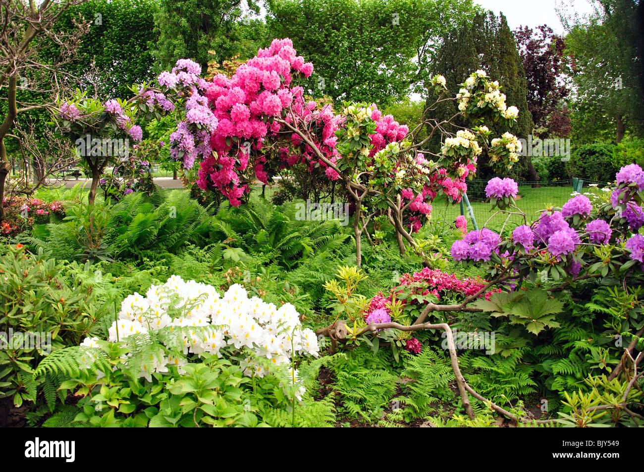 Purple paris hi-res stock photography and images - Alamy