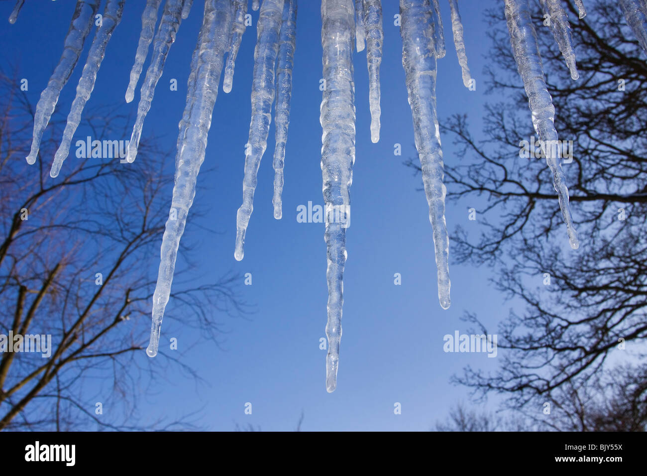 Icicles icicle winter freezing Stock Photo - Alamy