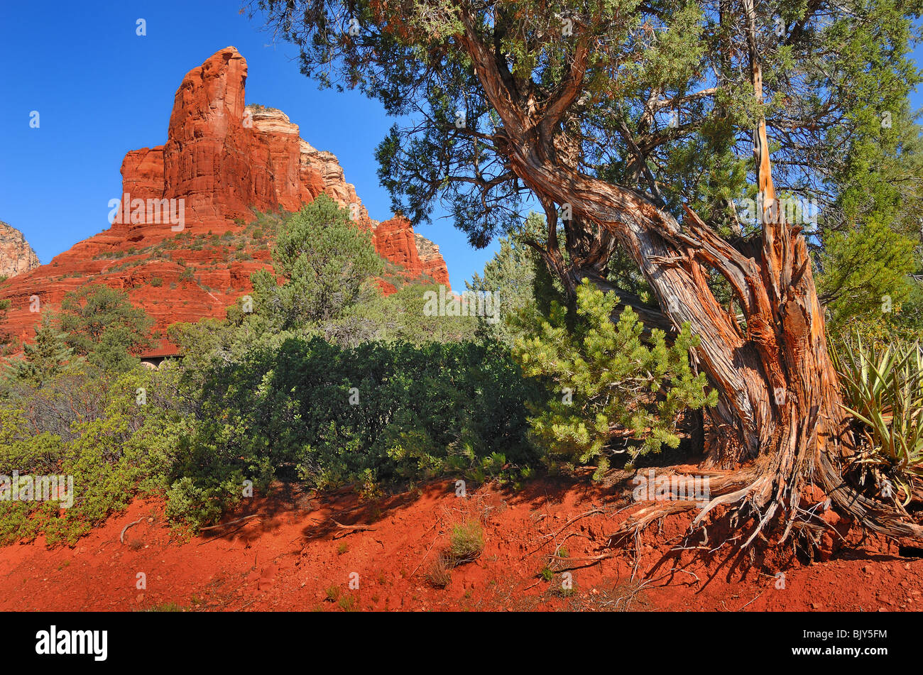 Coconino national forest soldier pass hi-res stock photography and ...