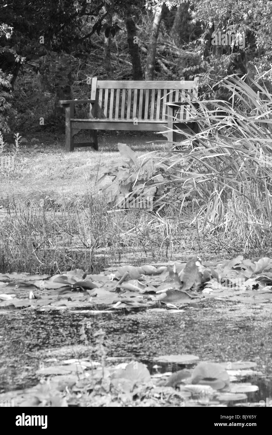 Wooden bench sitting by pond at the gardens of a hotel near Ballyvaughn ...