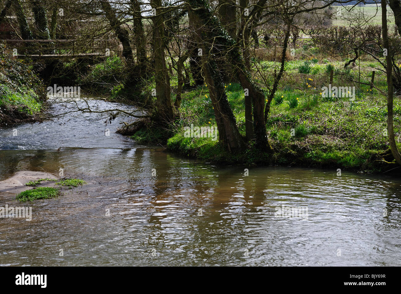 Brook spring hi-res stock photography and images - Alamy