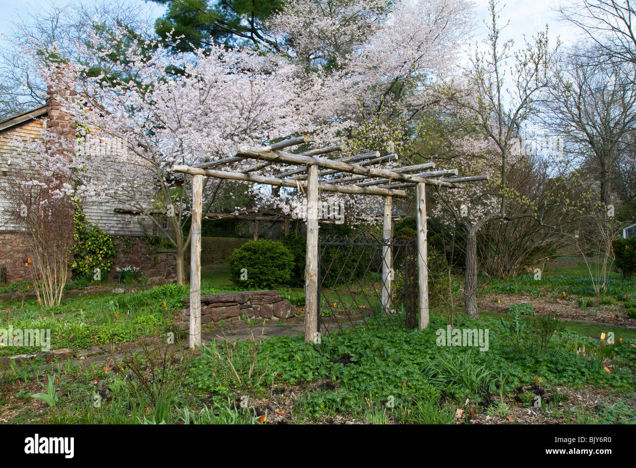 Arbor shot in spring Stock Photo - Alamy