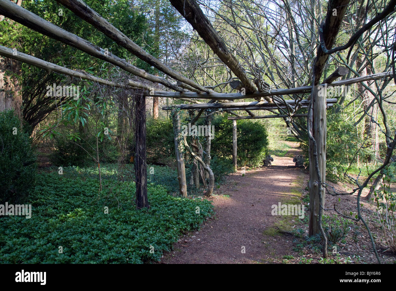 Arbor shot in spring Stock Photo - Alamy