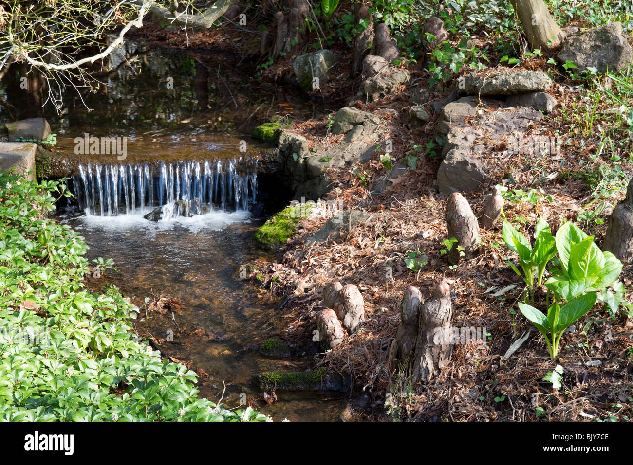 Garden stream and waterfall Stock Photo - Alamy
