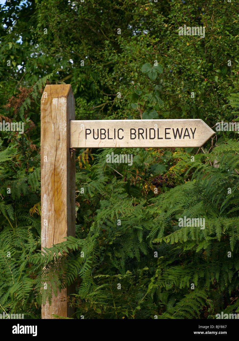 Wooden Public Bridleway Sign Stock Photo - Alamy
