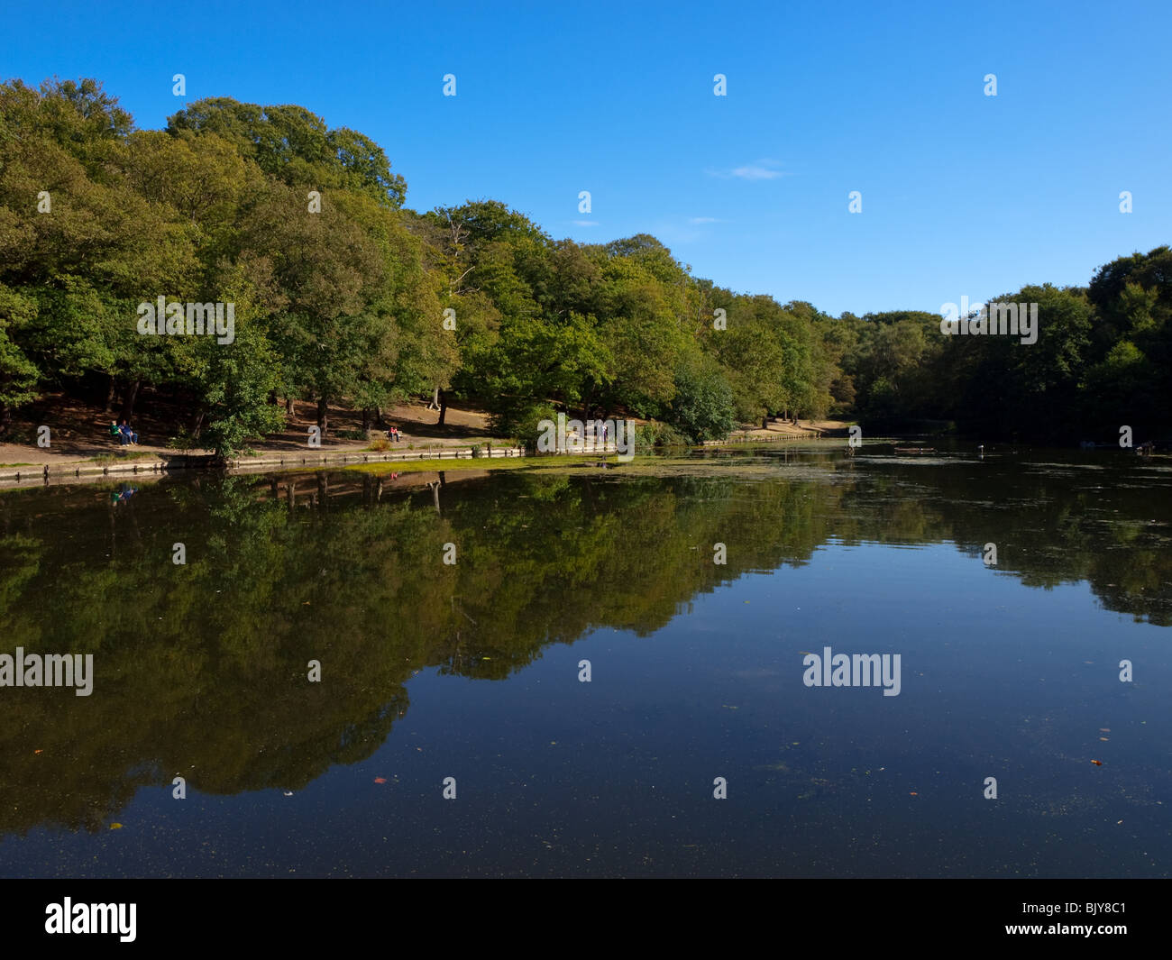 Queen's Mere, Wimbledon Common, Merton, London, England, UK Stock Photo ...