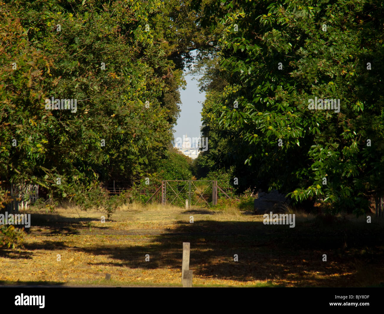 King Henry VIII Mound, Richmond Park, London, England, UK Stock Photo ...