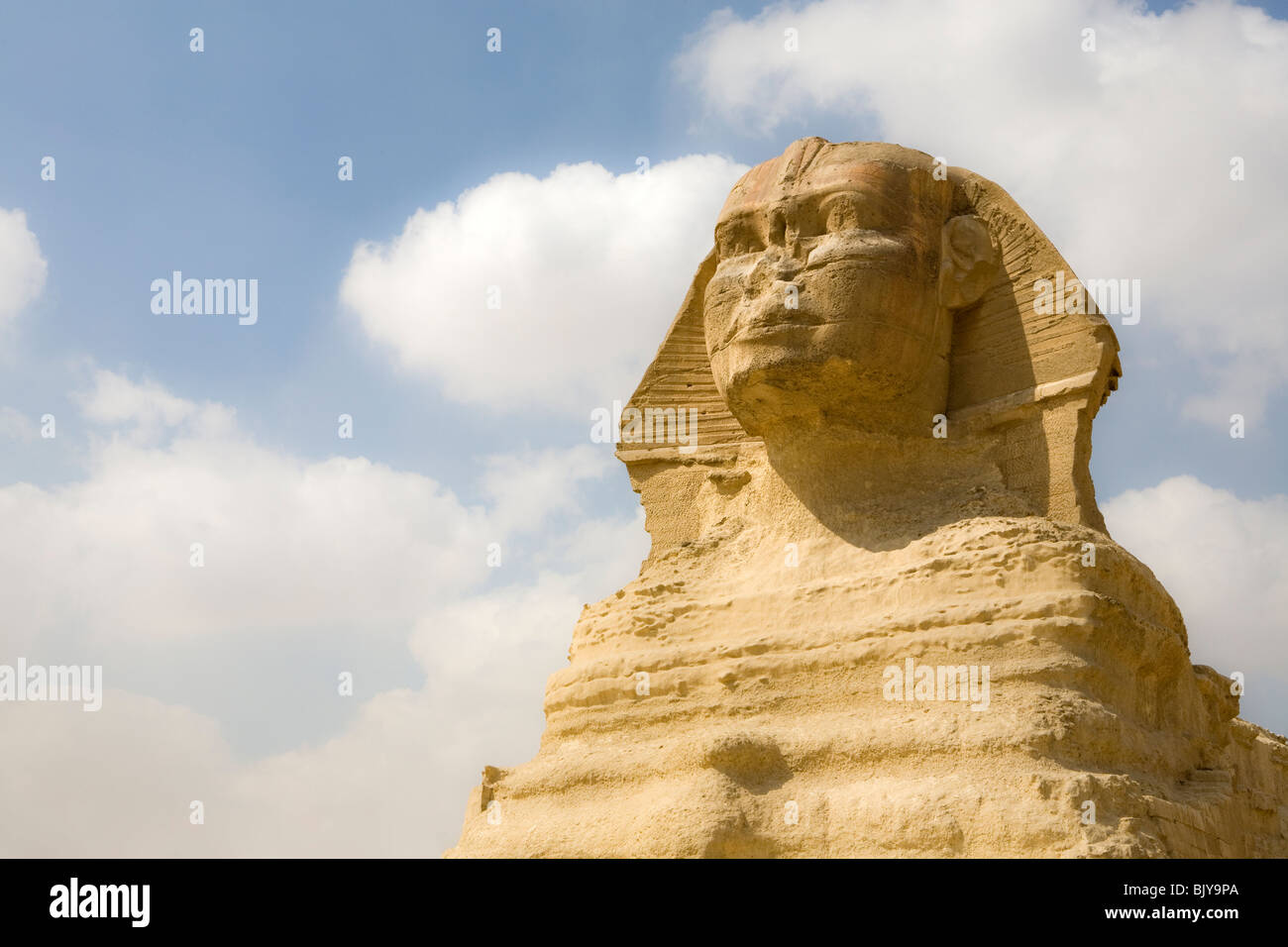 Head of the Great Sphinx at Giza seen from the Sphinx Enclosure, Cairo ...
