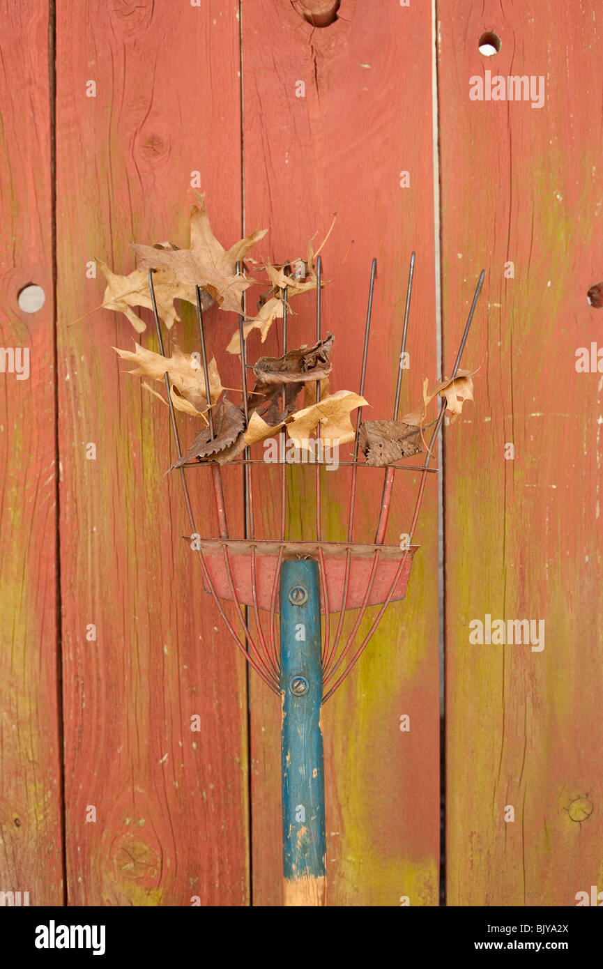 Raking lawn wire rake hi-res stock photography and images - Alamy