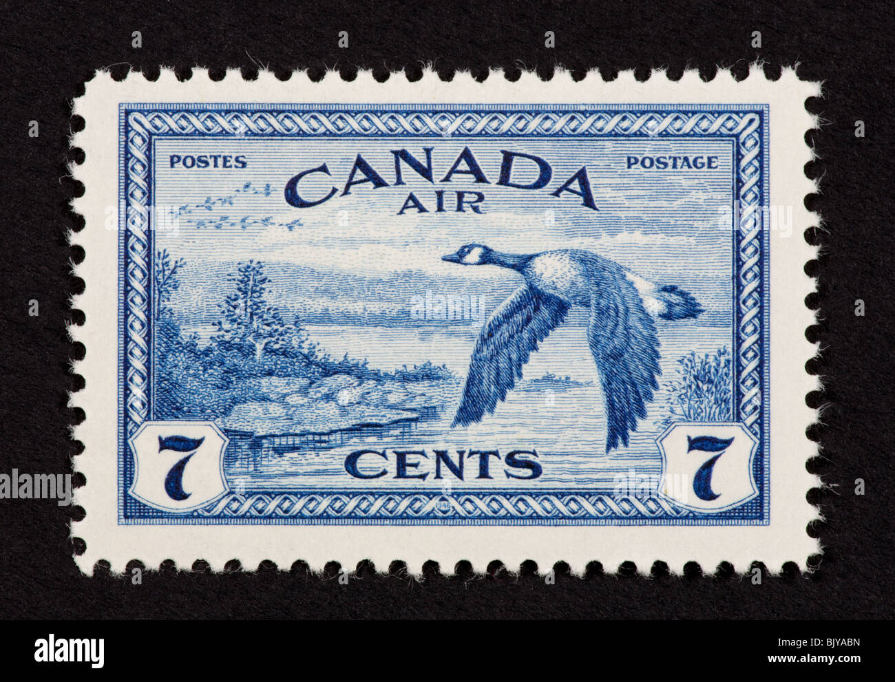 Airmail postage stamp from Canada depicting a Canadian goose Stock ...
