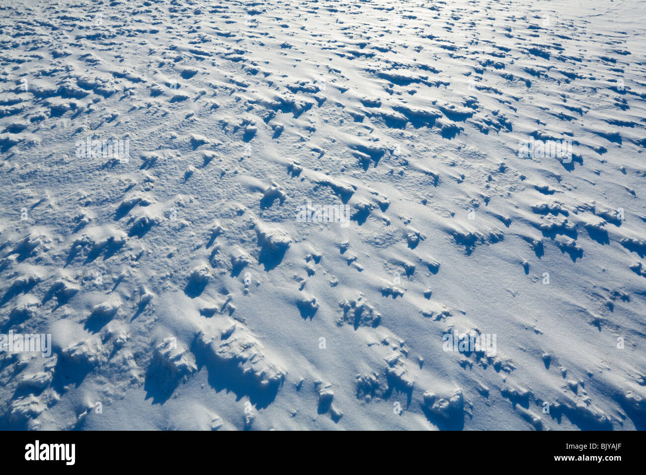 Wind blowing snow hi-res stock photography and images - Alamy