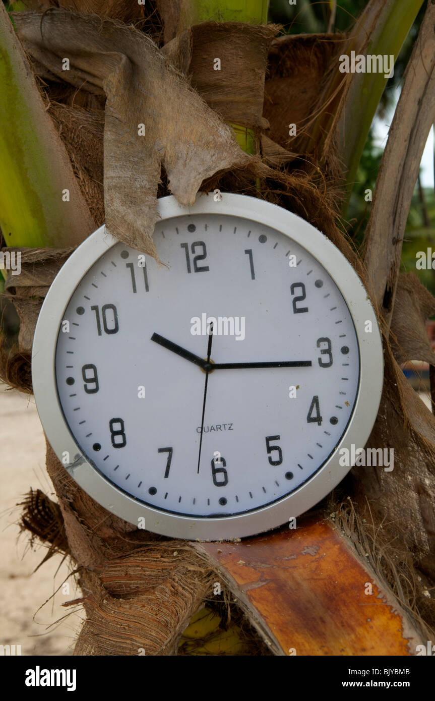 Clock in a palm tree on a beach in Koh Phangan Thailand Stock Photo - Alamy