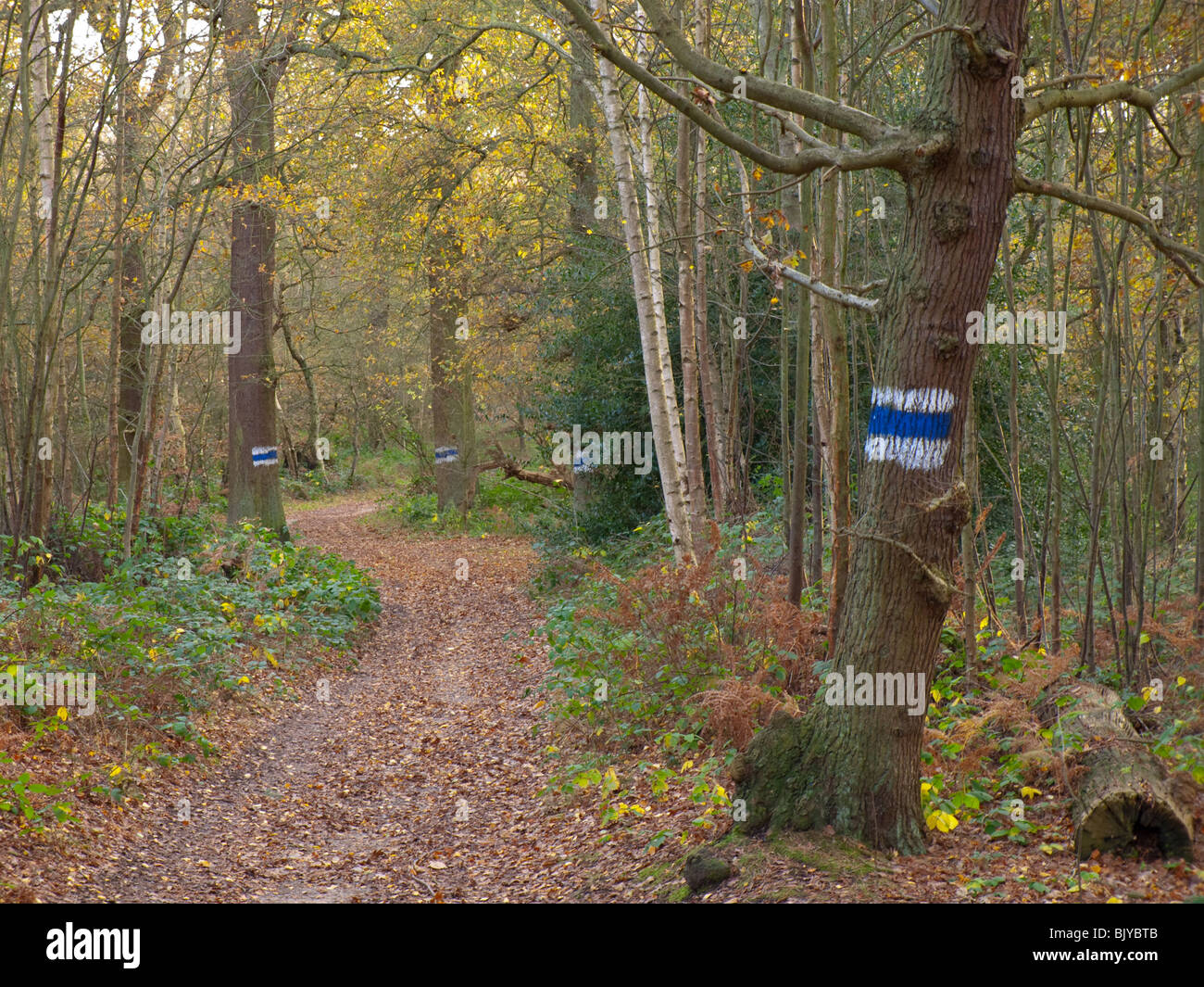 Petts wood hi-res stock photography and images - Alamy
