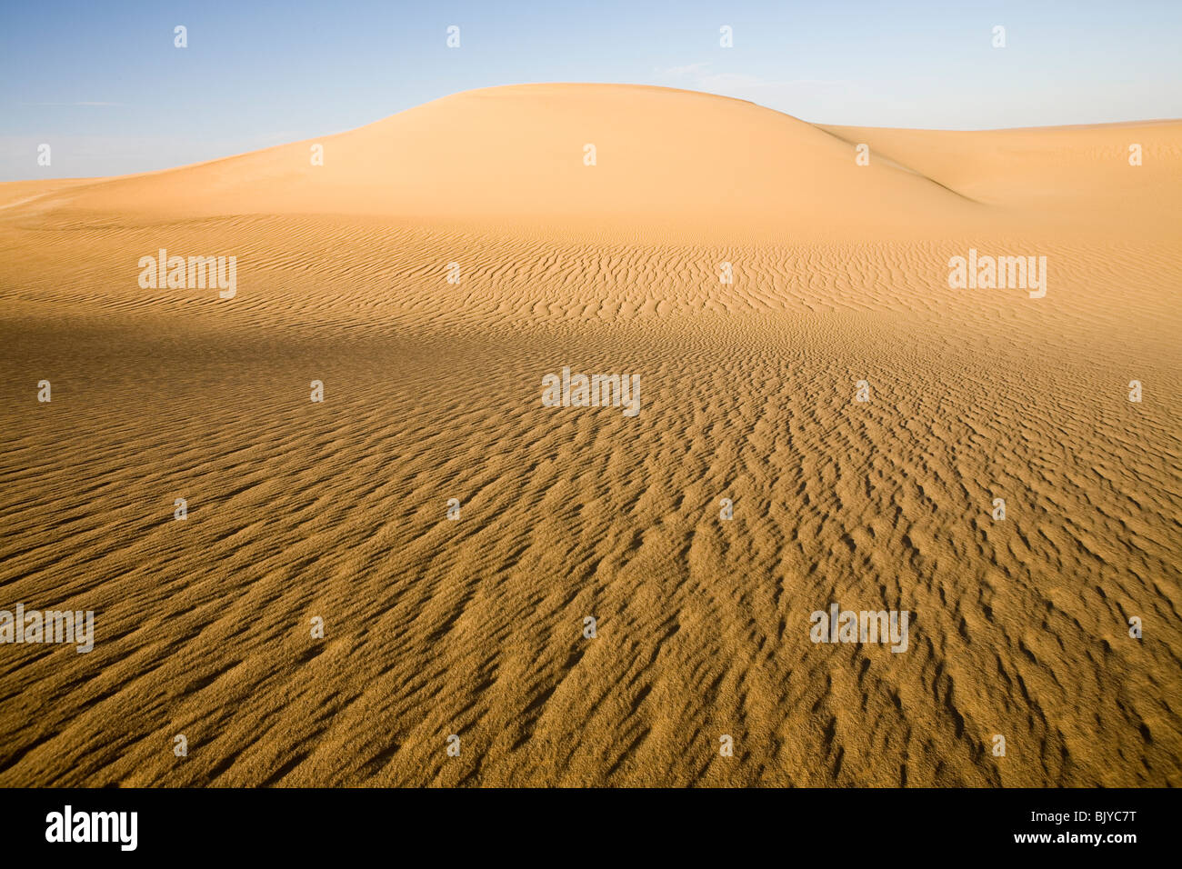 Sand Dunes within the Great Sand Sea, Western Desert of Egypt Stock ...