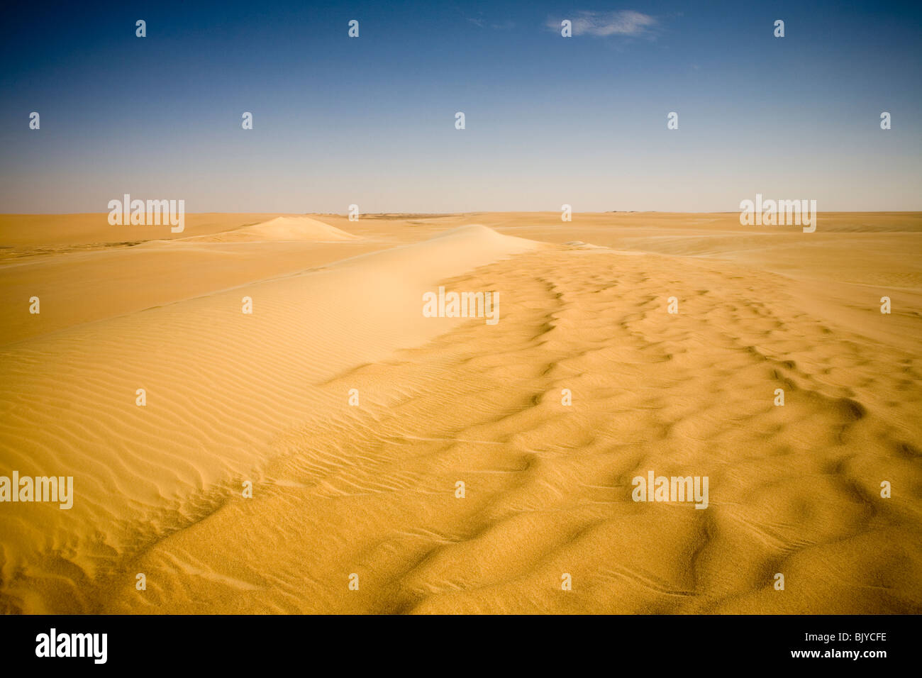 Sand Dunes within the Great Sand Sea, Western Desert of Egypt Stock ...