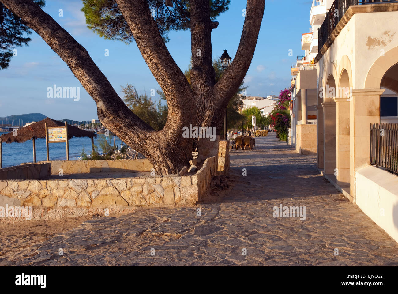 Puerto Pollensa, Majorca Stock Photo - Alamy