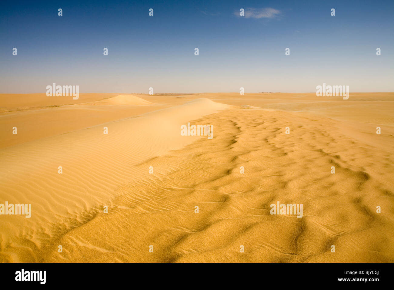 Sand Dunes within the Great Sand Sea, Western Desert of Egypt Stock ...