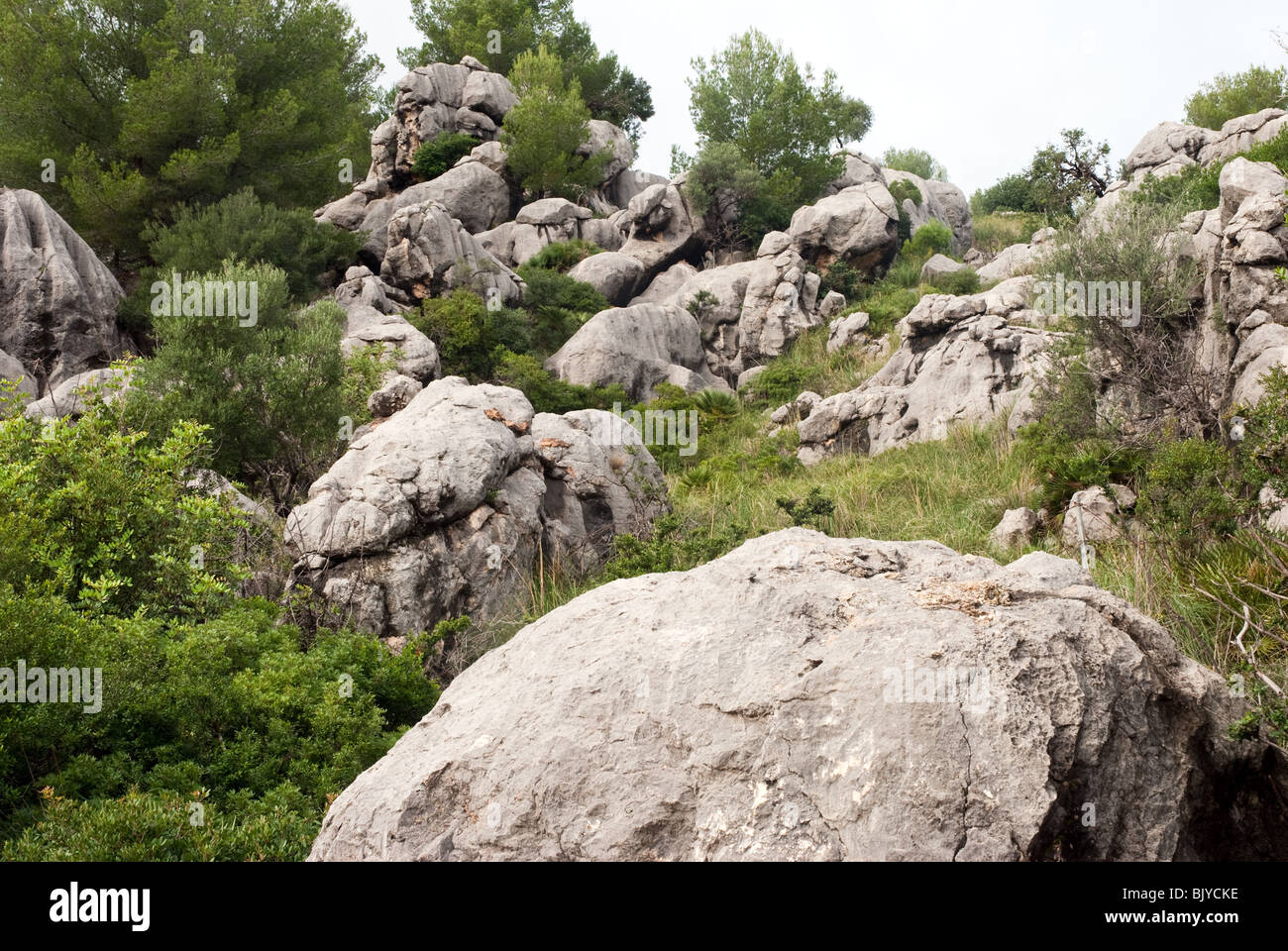Limestone rocks Mallorca Stock Photo - Alamy