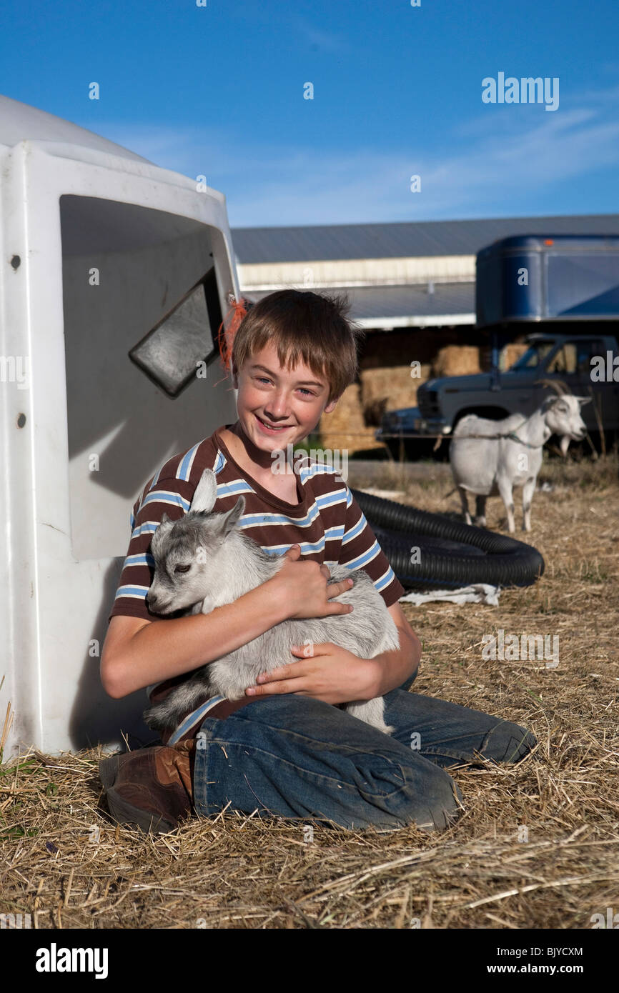 America goat hi-res stock photography and images - Alamy