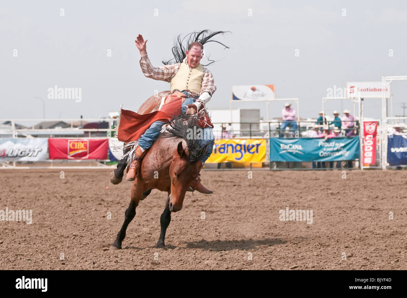 Cowboy, bareback bronc riding, Strathmore Heritage Days, Rodeo ...