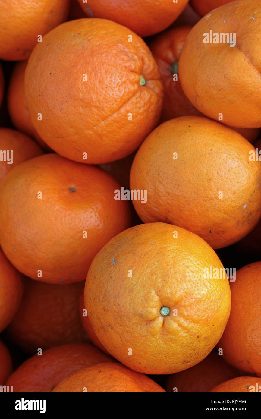 Florida oranges hi-res stock photography and images - Alamy