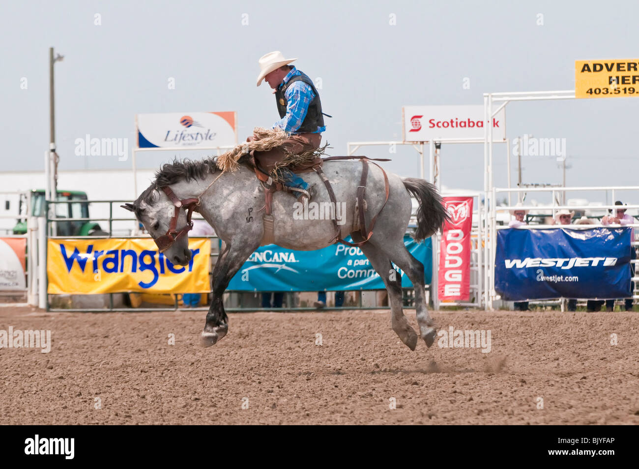 Cowboy, saddle bronc riding, Strathmore Heritage Days, Rodeo ...