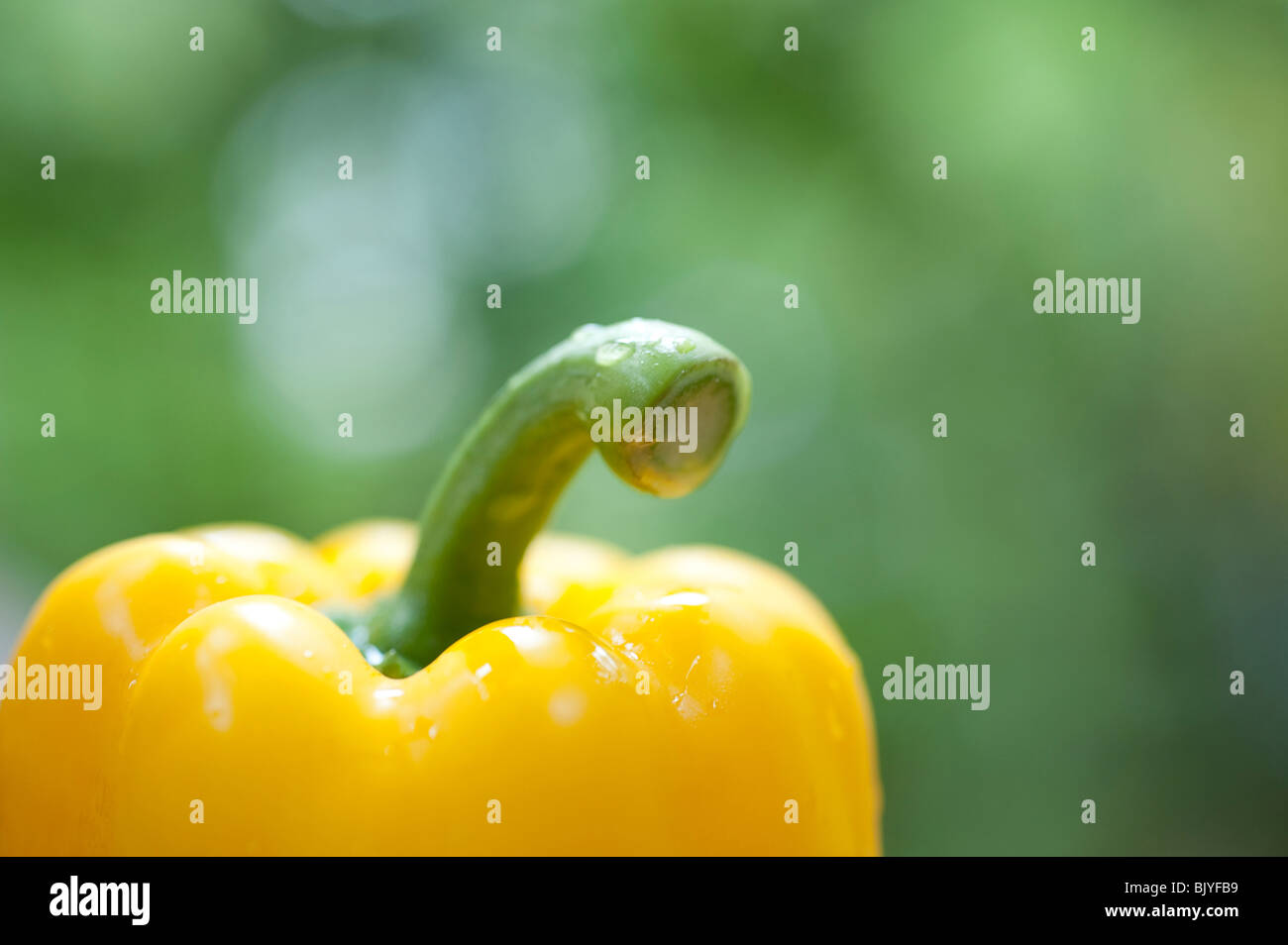 No paprika hi-res stock photography and images - Alamy