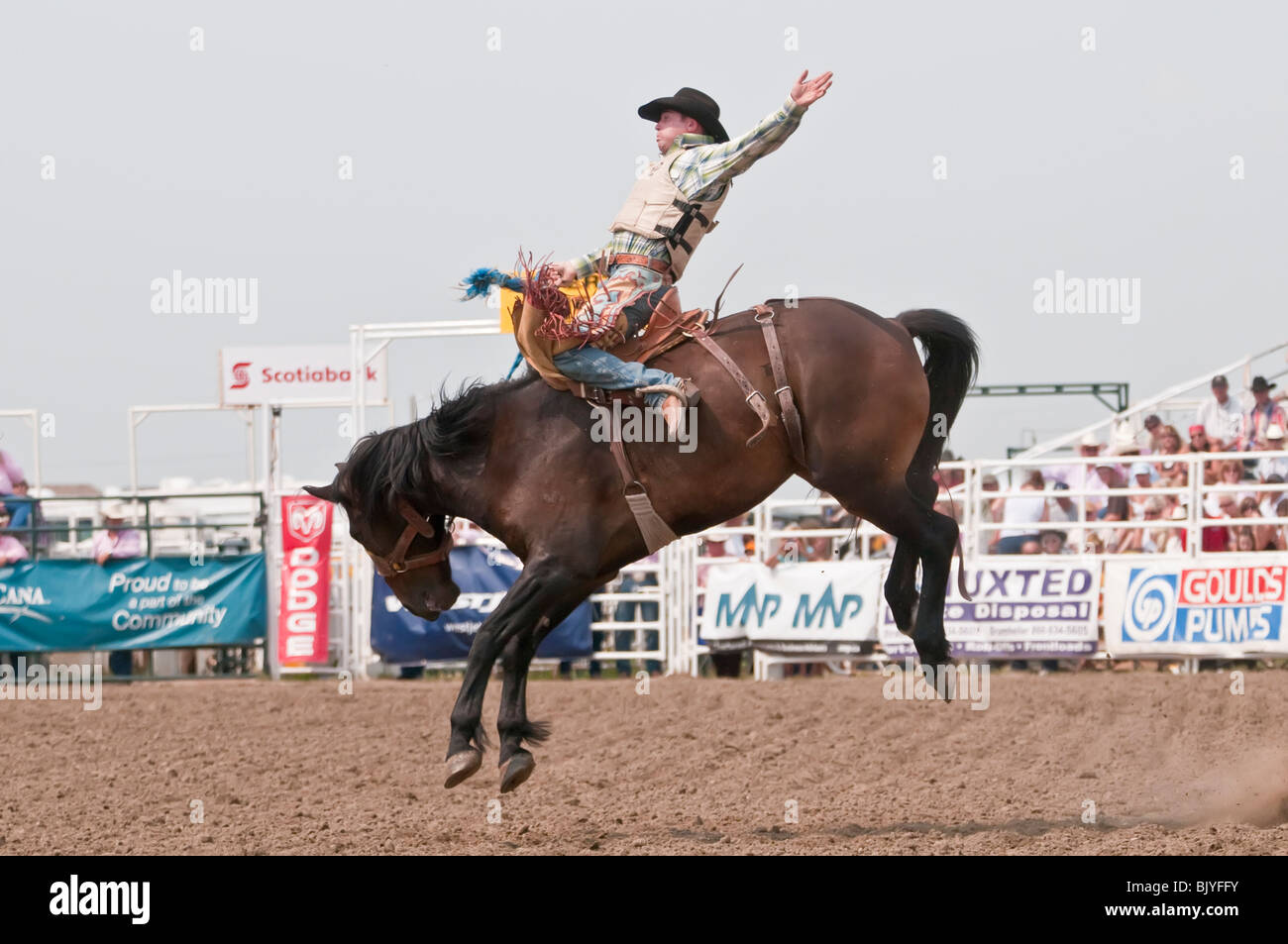Cowboy, saddle bronc riding, Strathmore Heritage Days, Rodeo ...