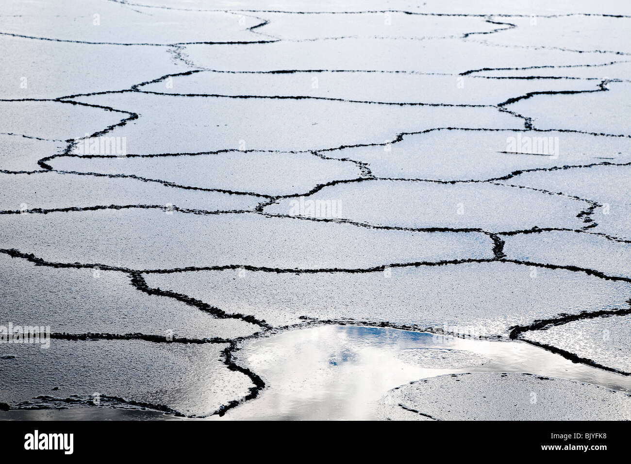 Thin ice hi-res stock photography and images - Alamy