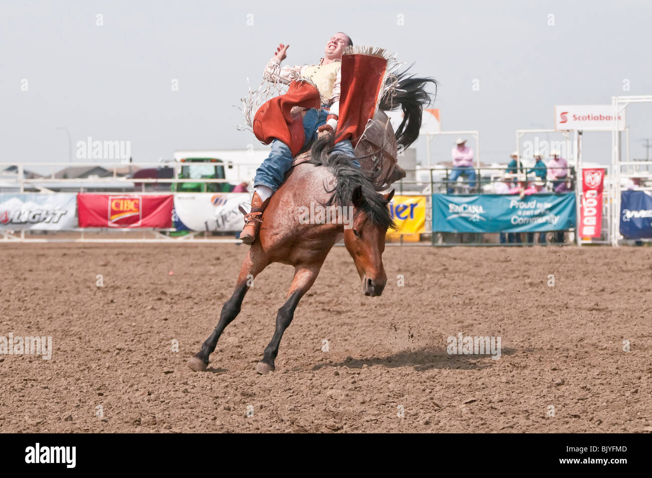 Cowboy, bareback bronc riding, Strathmore Heritage Days, Rodeo ...