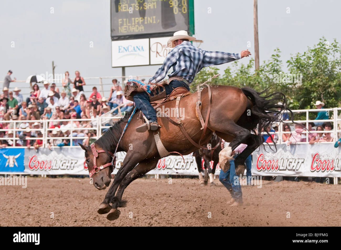 Cowboy, saddle bronc riding, Strathmore Heritage Days, Rodeo ...