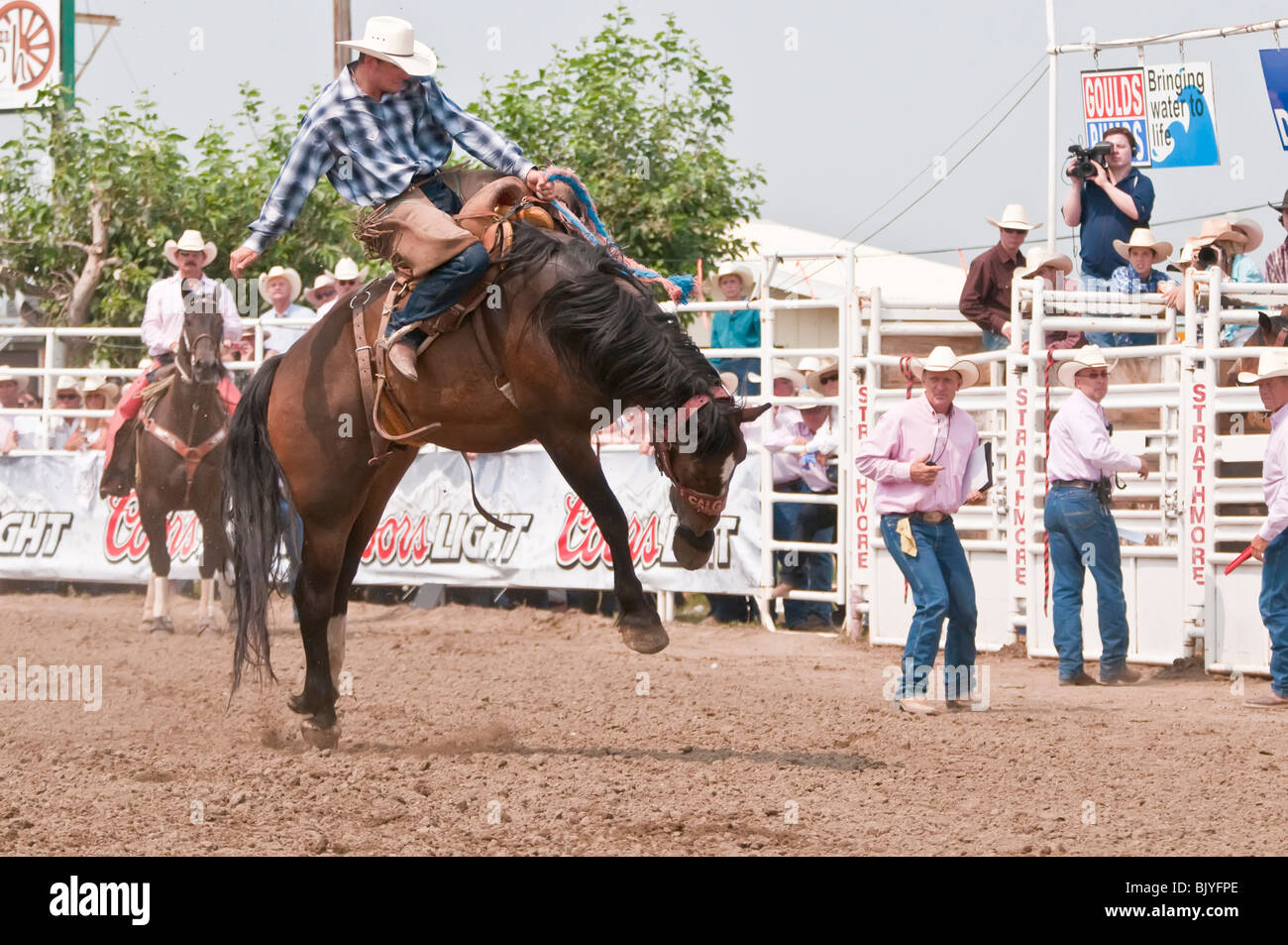 Cowboy, saddle bronc riding, Strathmore Heritage Days, Rodeo ...