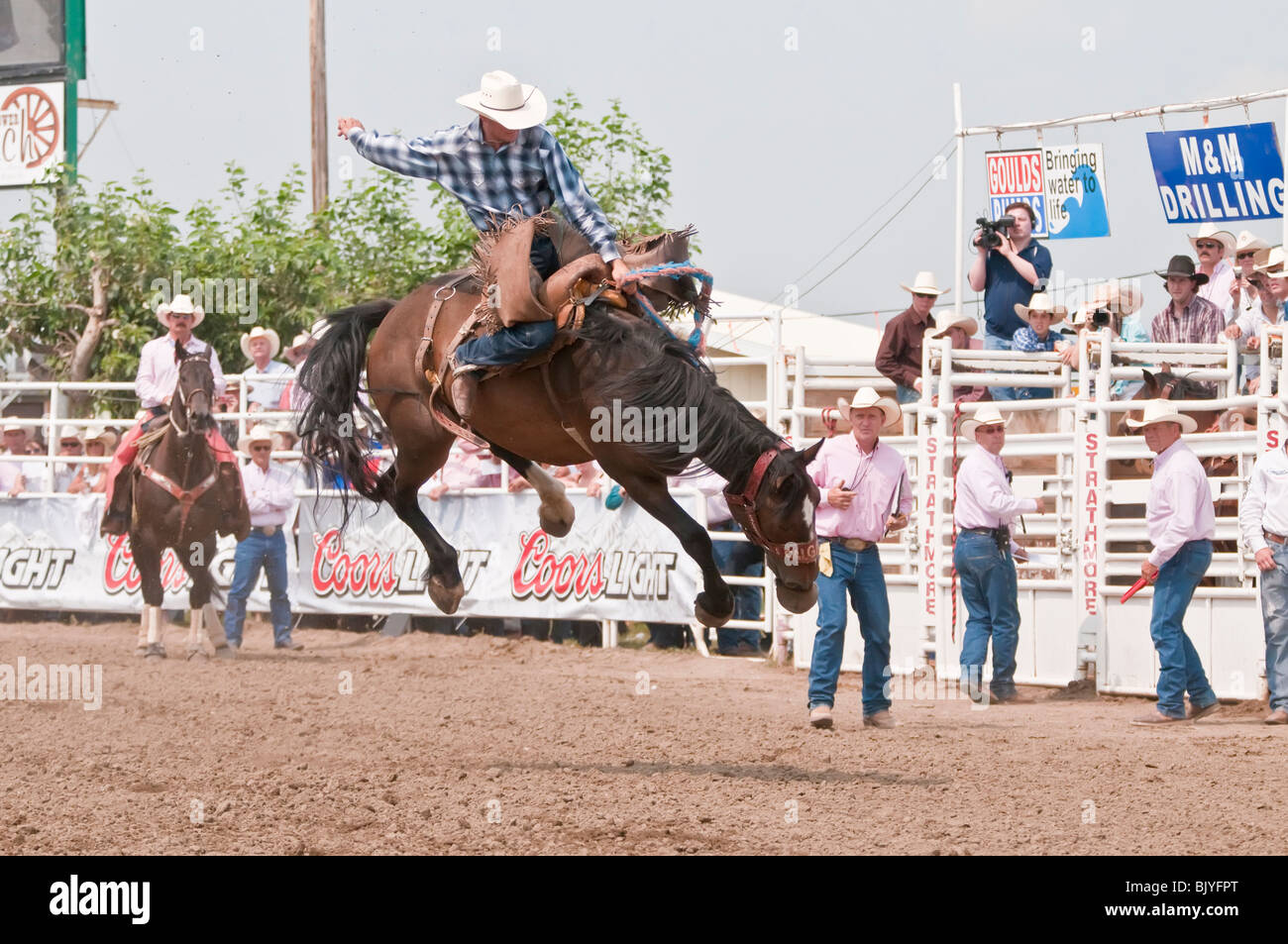 Cowboy saddle bronc riding feral horse hi-res stock photography and ...