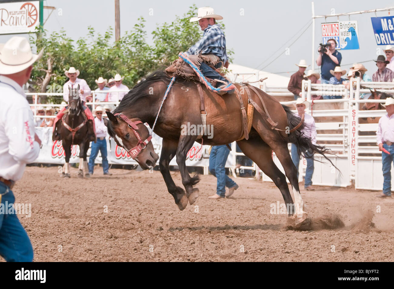 Cowboy, saddle bronc riding, Strathmore Heritage Days, Rodeo ...
