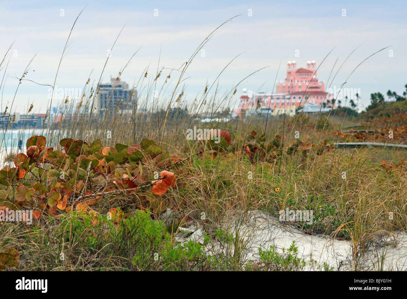St pete’s beach, florida hi-res stock photography and images - Alamy