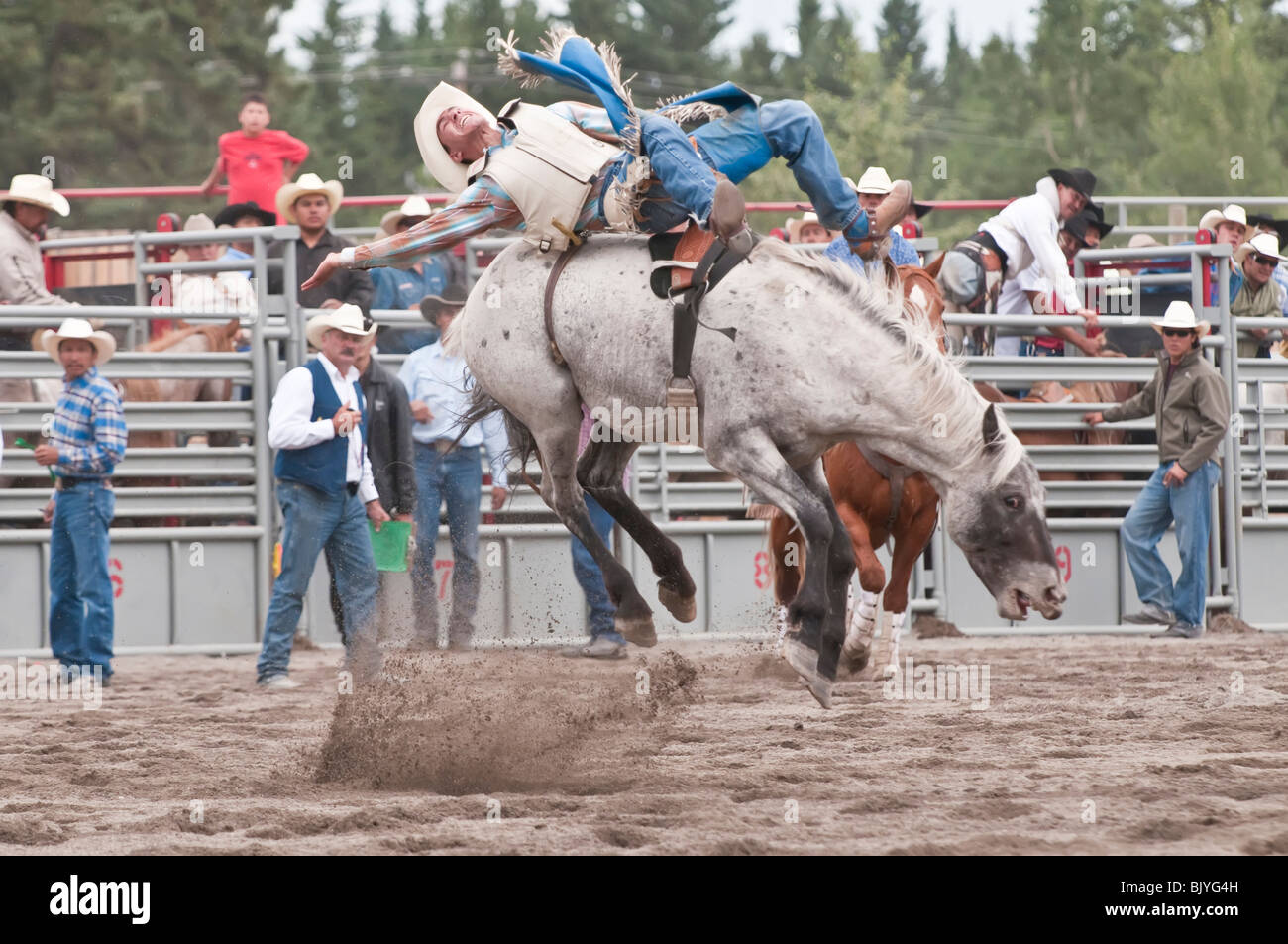 Cowboy bareback bronc riding, T'suu Tina rodeo, Bragg Creek, Alberta ...