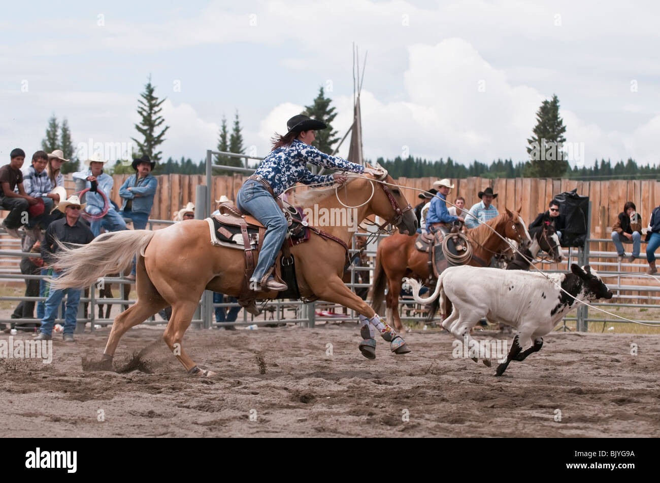 Bragg creek rodeo hi-res stock photography and images - Alamy