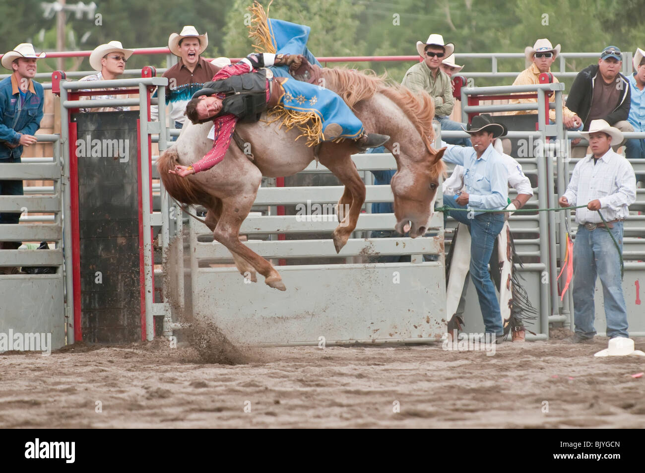 Bareback Men High Resolution Stock Photography and Images - Alamy