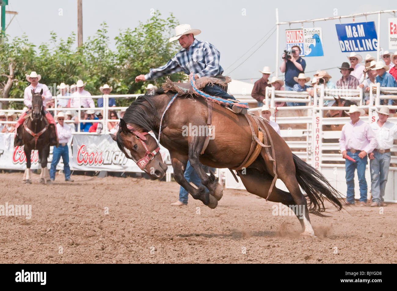 Bronc riding hi-res stock photography and images - Alamy
