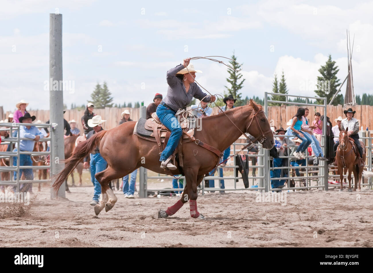 Throwing A Lasso Throwing A Rope High Resolution Stock Photography and ...