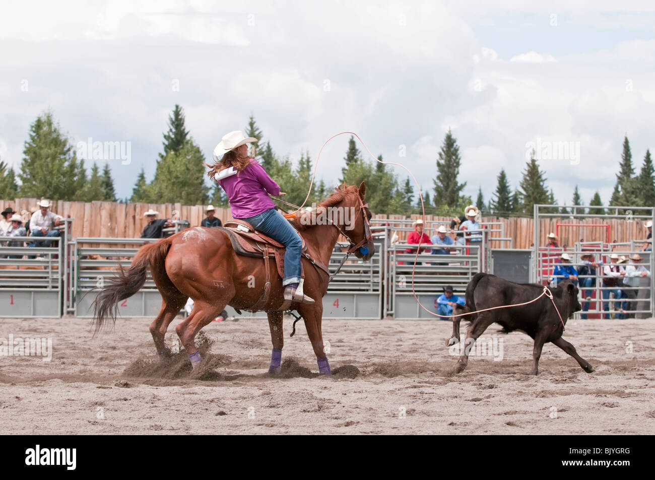Canadian cowgirl hi-res stock photography and images - Alamy