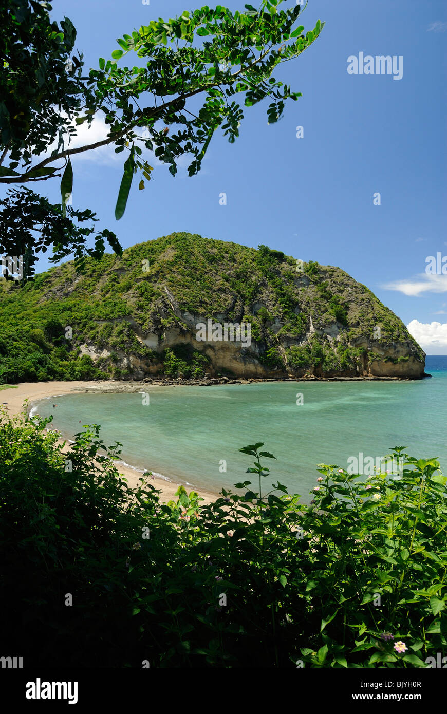 Mayotte beach island hi-res stock photography and images - Alamy