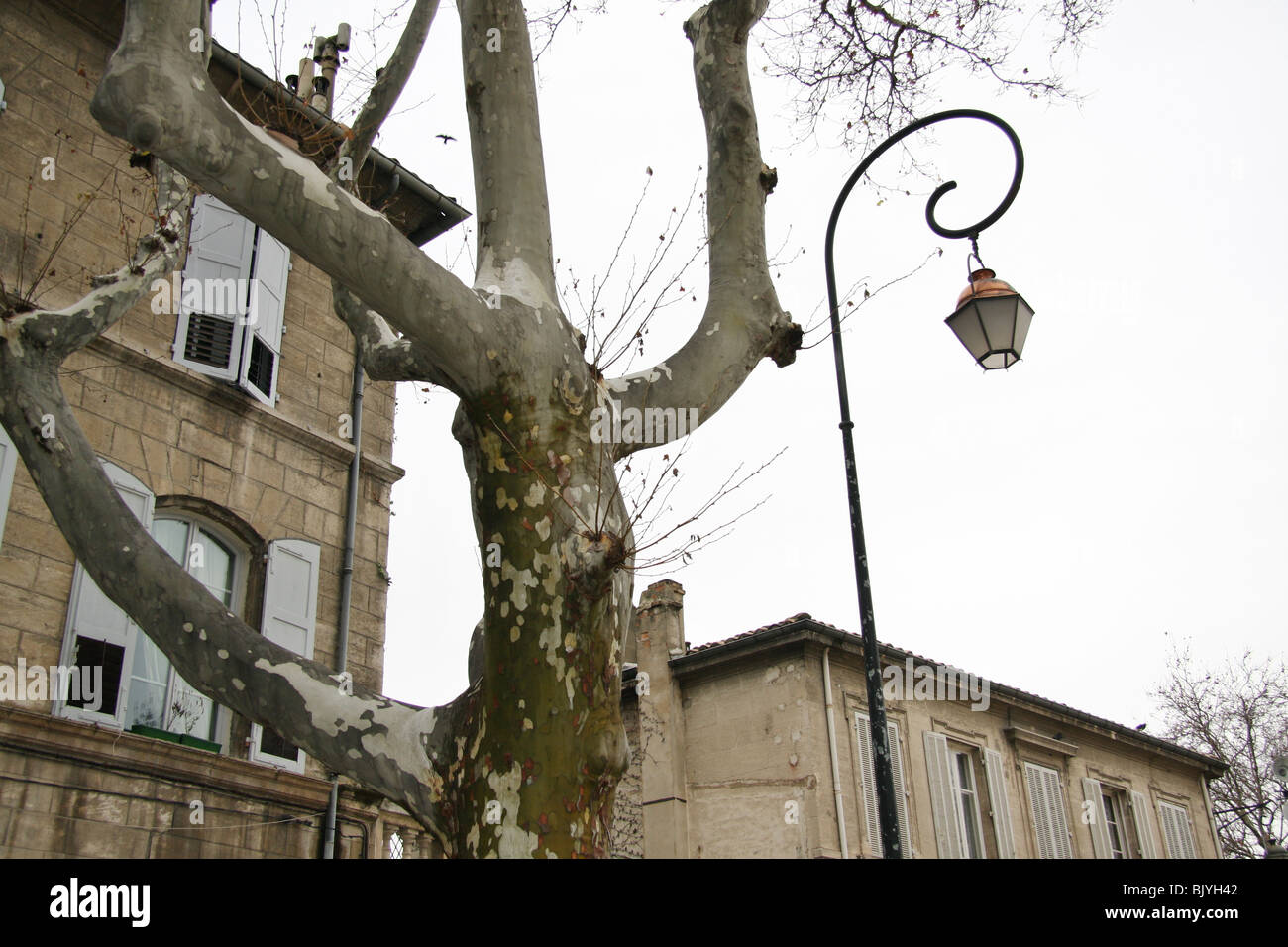 Houses in Avignon in winter Stock Photo - Alamy