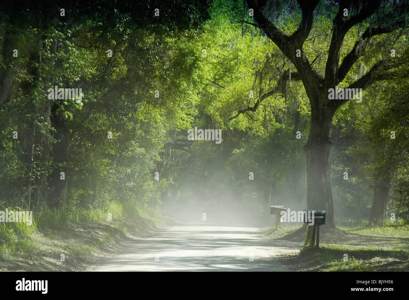 Back view country road hi-res stock photography and images - Alamy