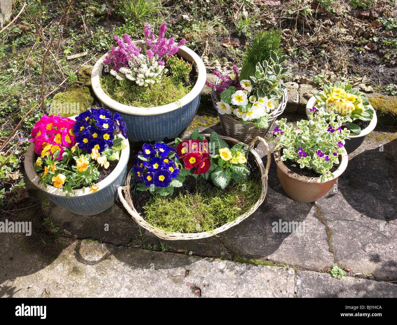 Plants hi-res stock photography and images - Alamy