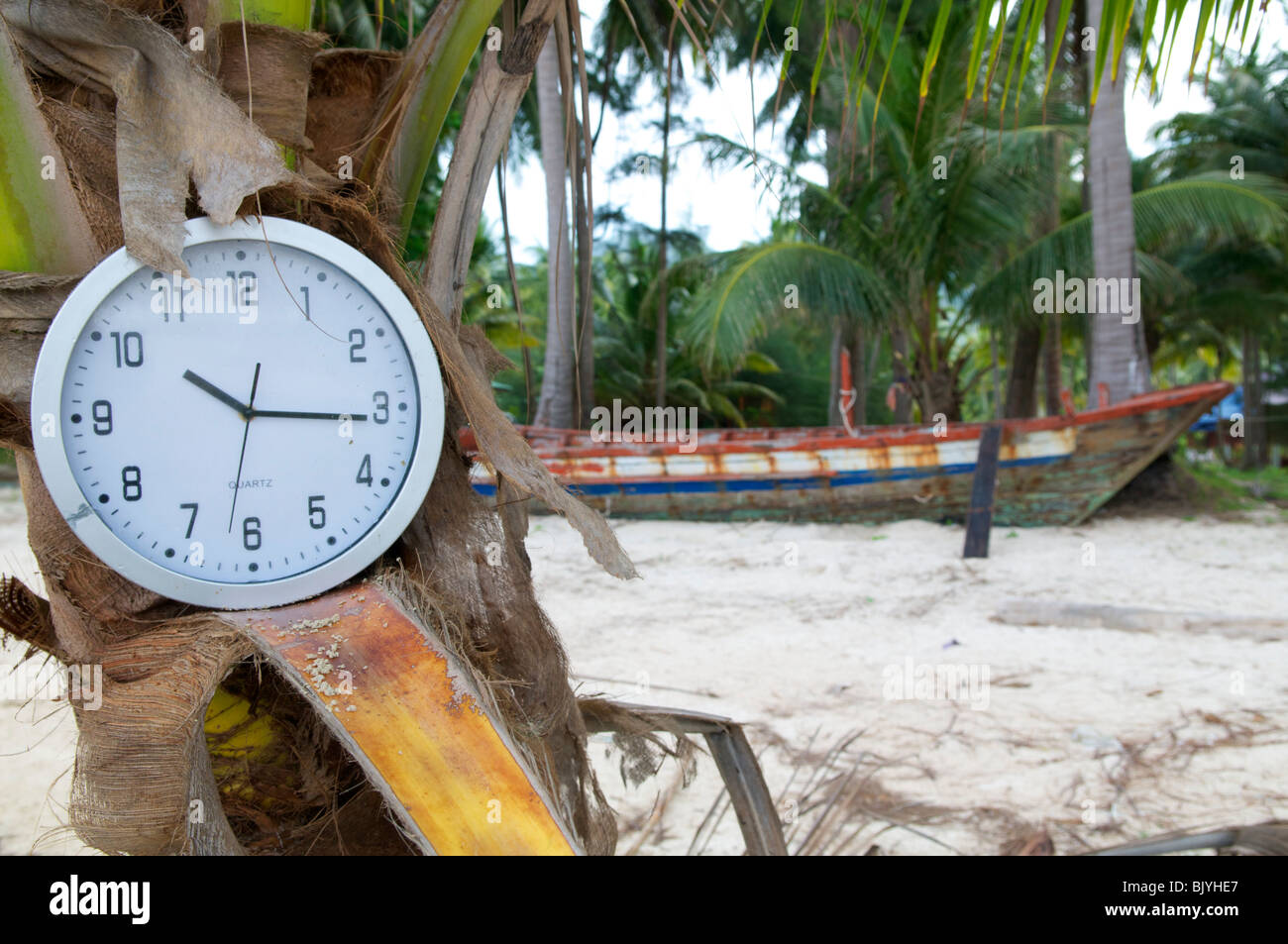 Clock with palm tree hi-res stock photography and images - Alamy