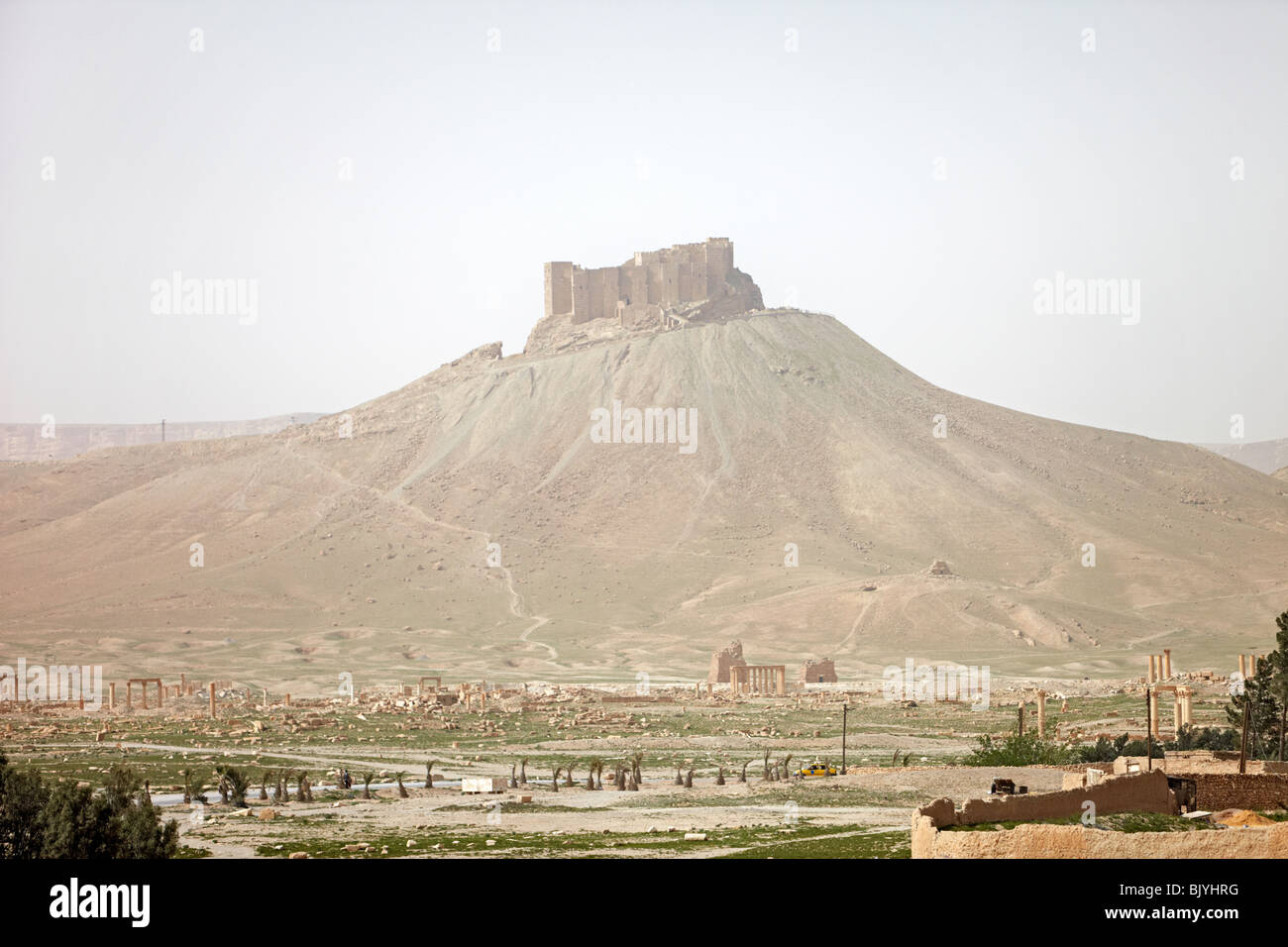 Palmyra Syria and arab hill fort Stock Photo - Alamy
